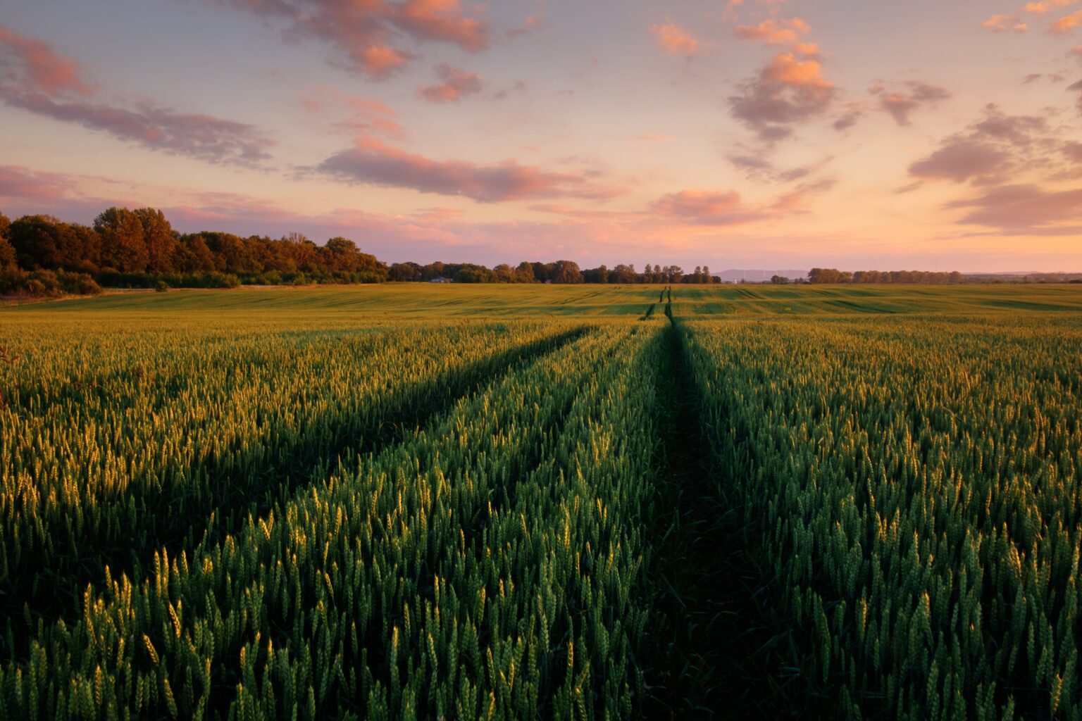Inicio - La Robla Green